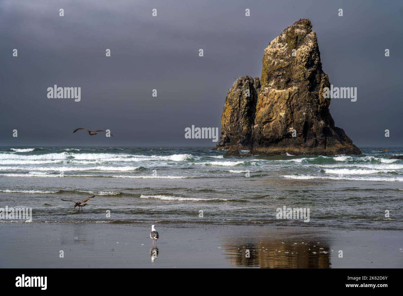 The Needles, Haystack Rock, Cannon Beach, Oregon, USA Stock Photo - Alamy