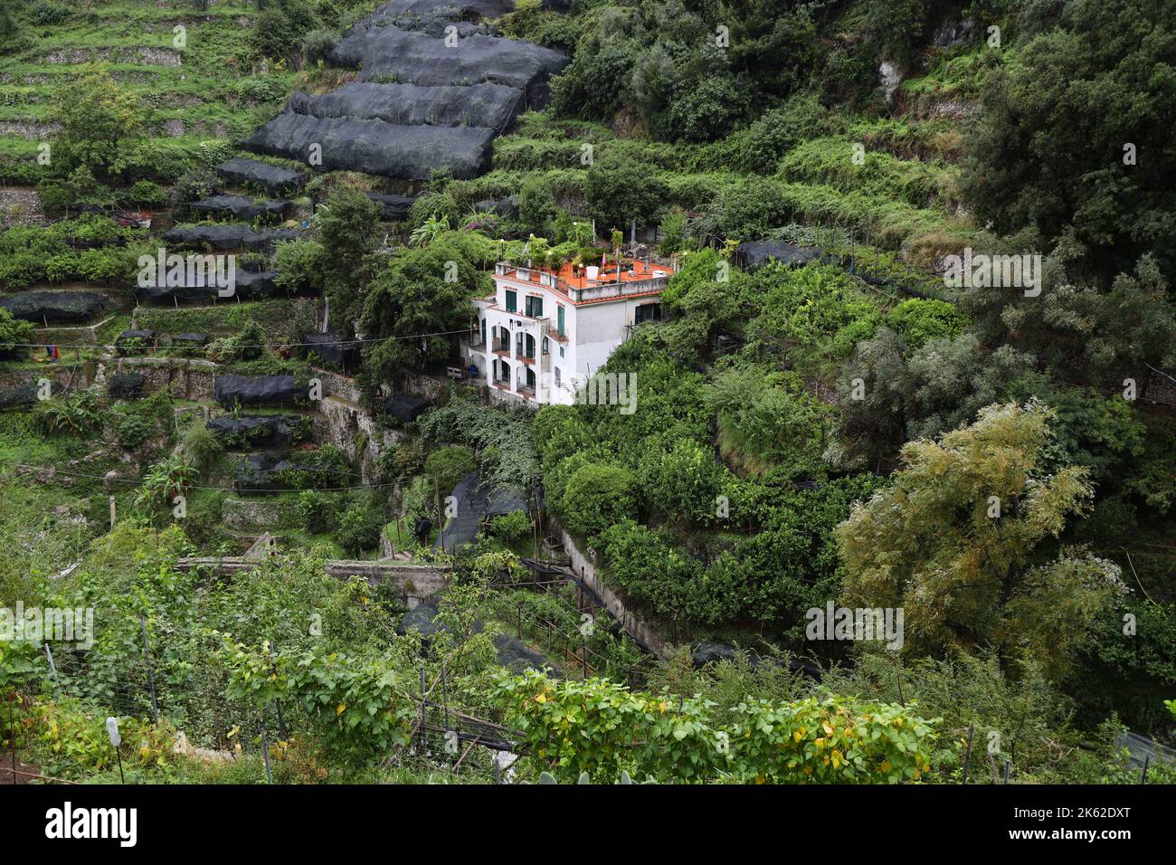 View of the ancient lemon groves in Atrani, Italy Stock Photo - Alamy
