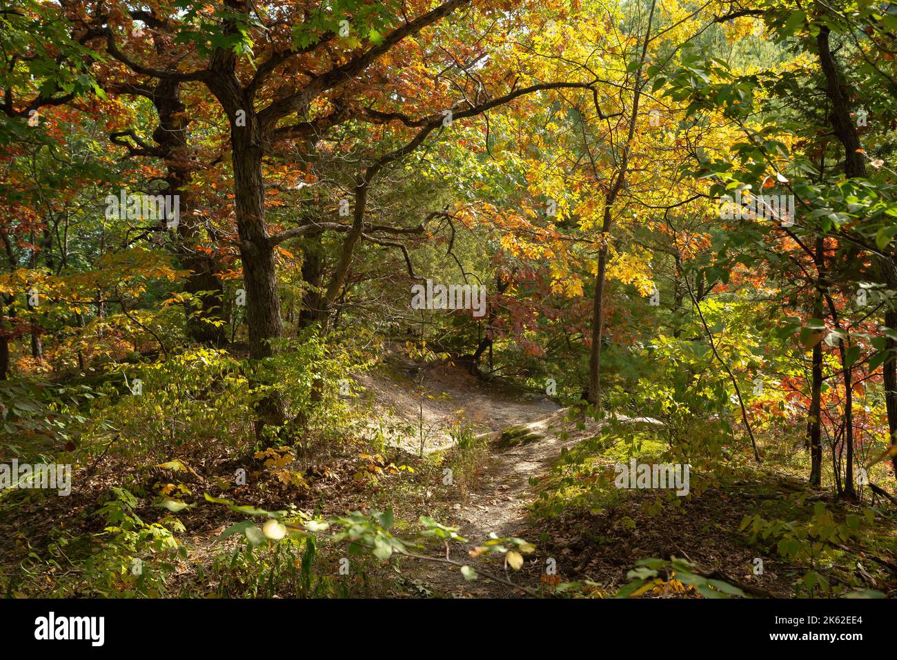 Fall landscape at Starved Rock State Park, Illinois, USA Stock Photo ...
