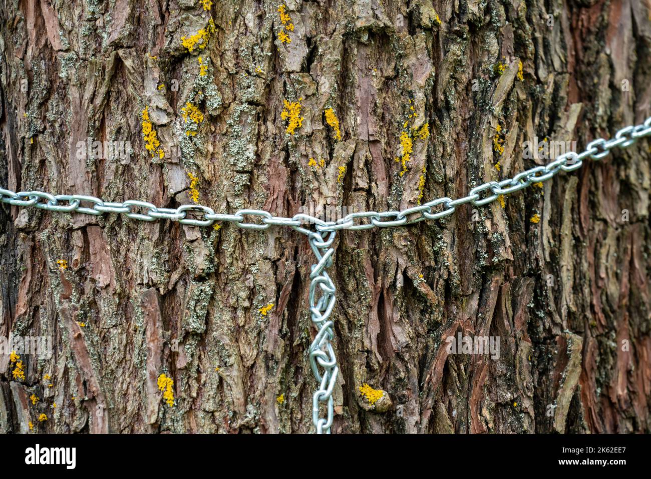 Silver metal trunk hi-res stock photography and images - Alamy