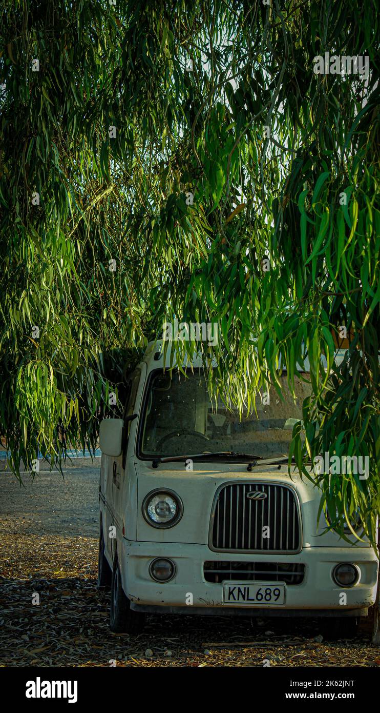 The vertical view of a white Subaru vehicle parked under the tree Stock ...