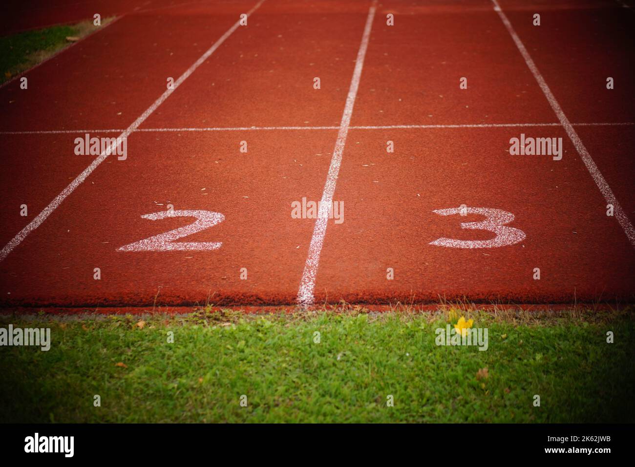 A closeup shot of labelled track lanes on a running field Stock Photo ...