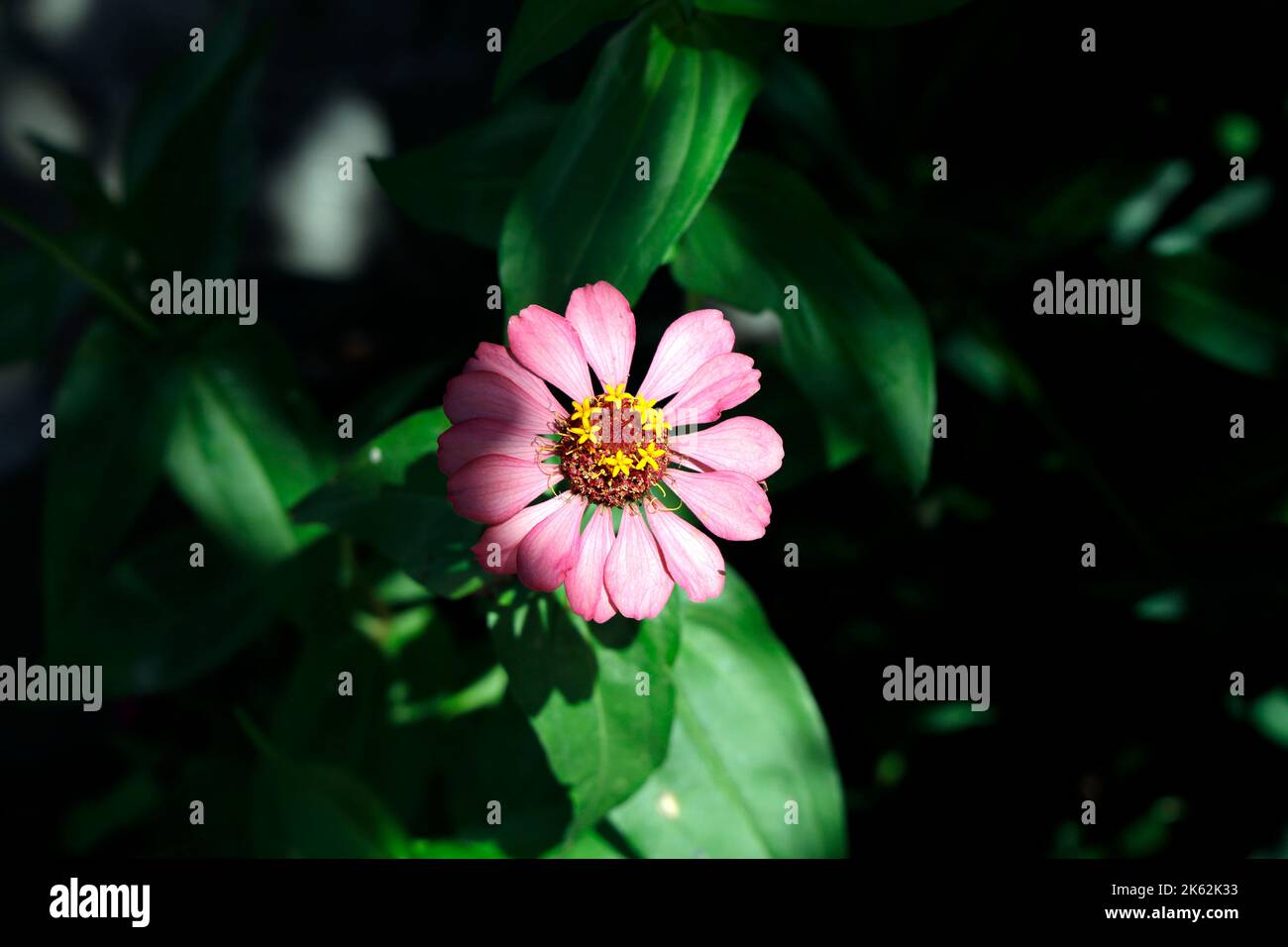 Mitylene, greece hi-res stock photography and images - Alamy