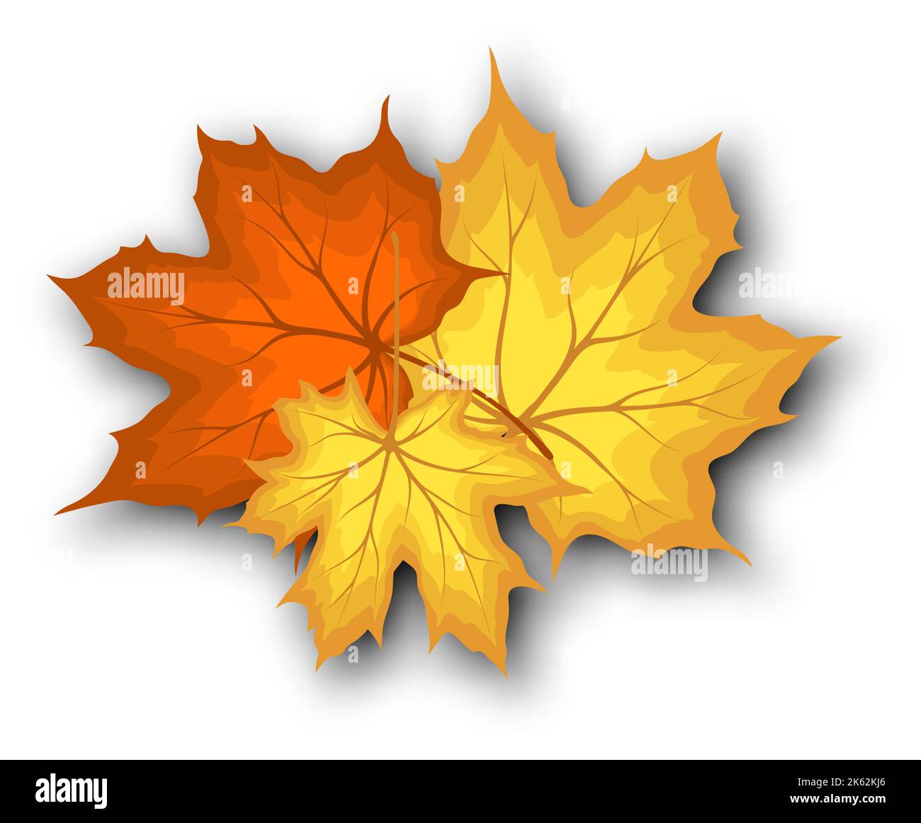 Autumn leaves bouquet template decorate with maple leaves in warm color ...