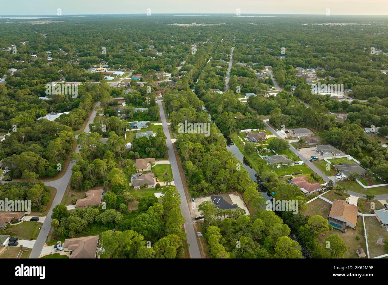 Aerial landscape view of suburban private houses between green palm ...