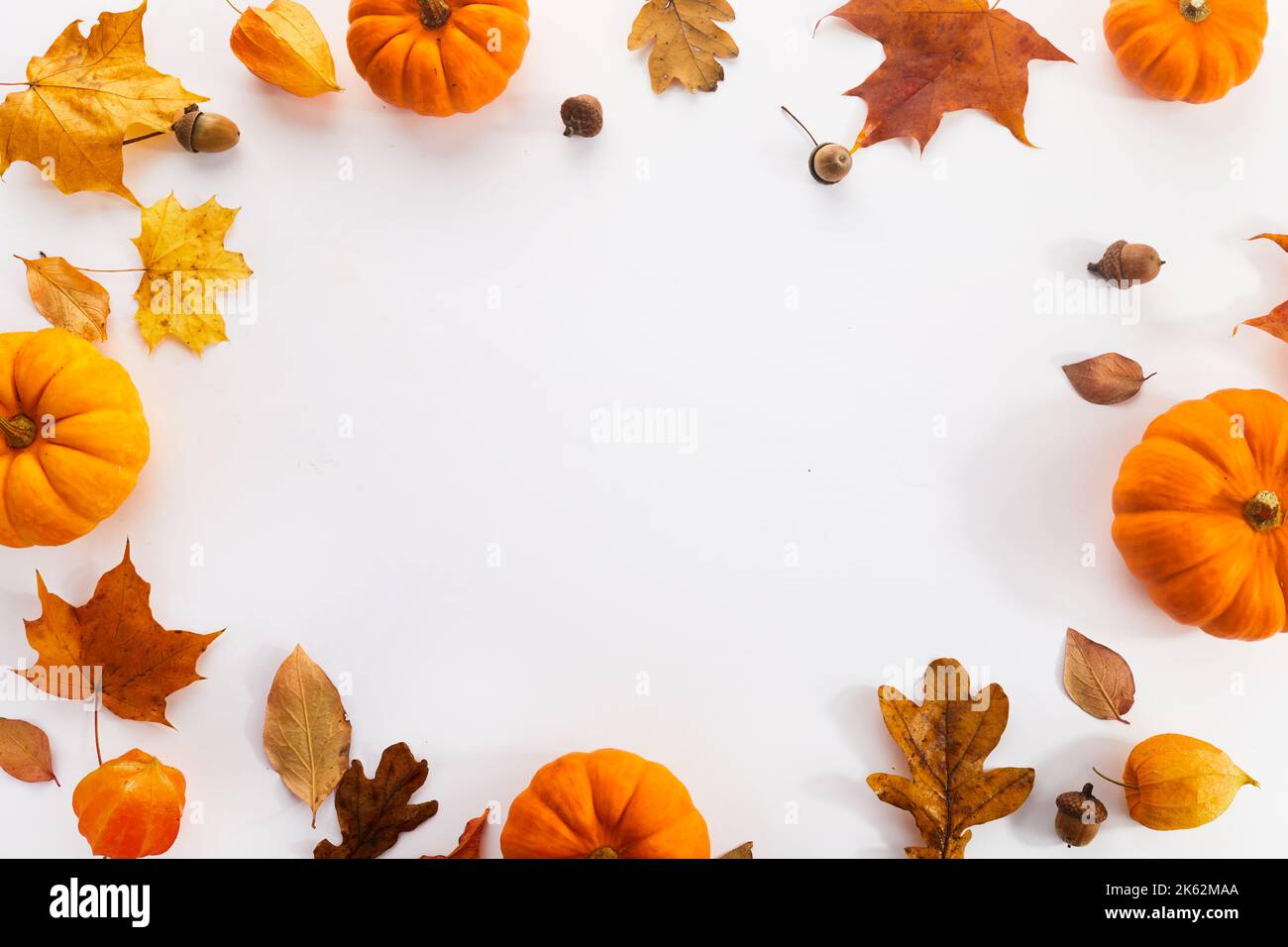 Pumpkins with fall leaves over white background. Top view Stock Photo ...