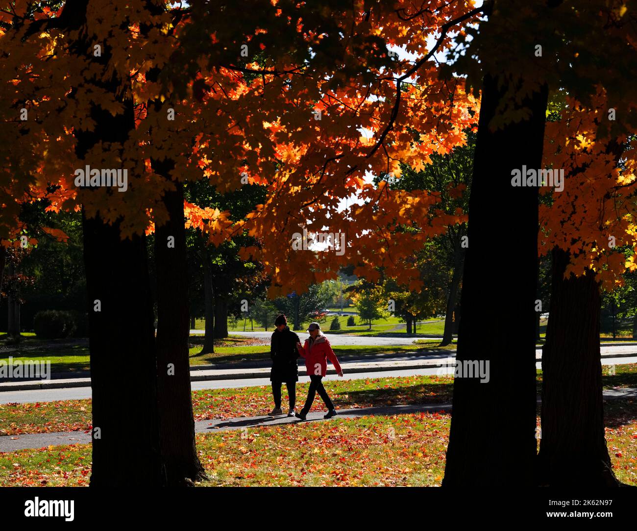 People walk amongst the Fall foliage in Ottawa on Tuesday, Oct. 11 ...