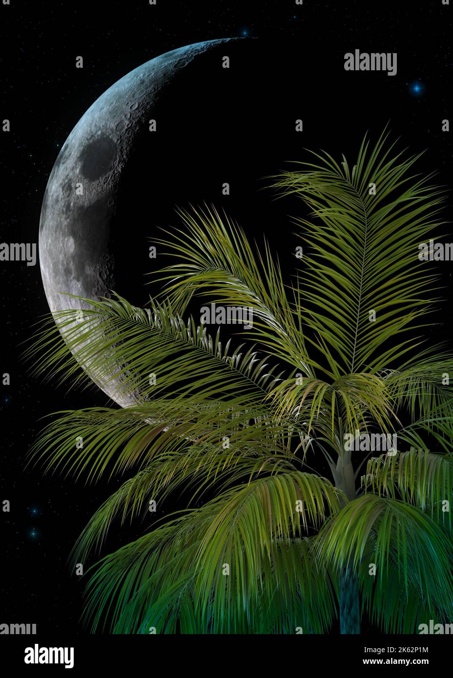 Fantasy palm trees and crescent moon, elements for this image furnished ...