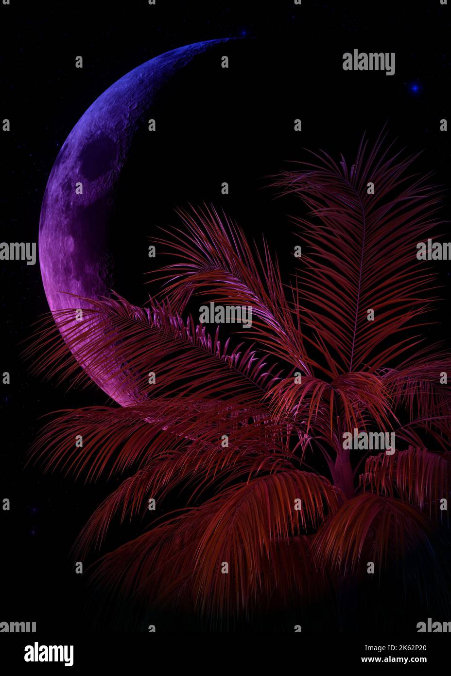 Fantasy palm trees and crescent moon, elements for this image furnished ...