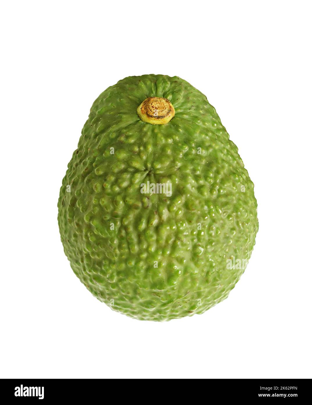 Fresh Ripe Avocado Whole Fruits Isolated on white background Stock ...