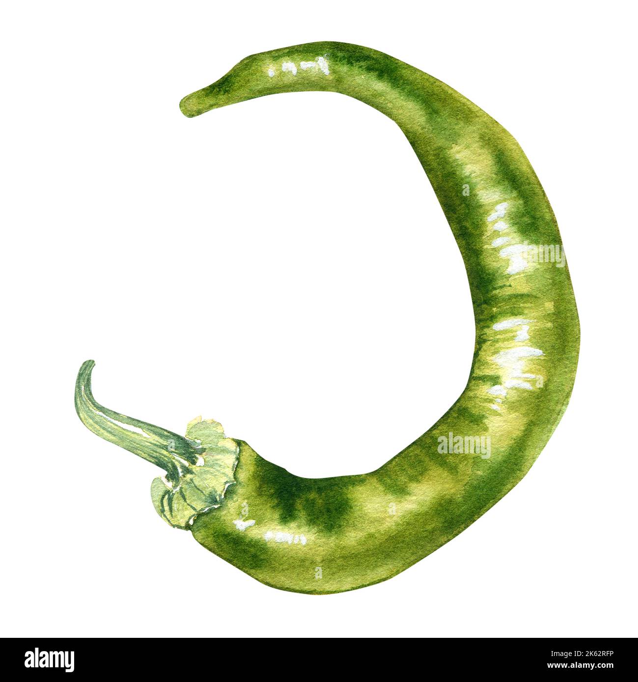 Red chili hot pepper watercolor illustration isolated on white ...