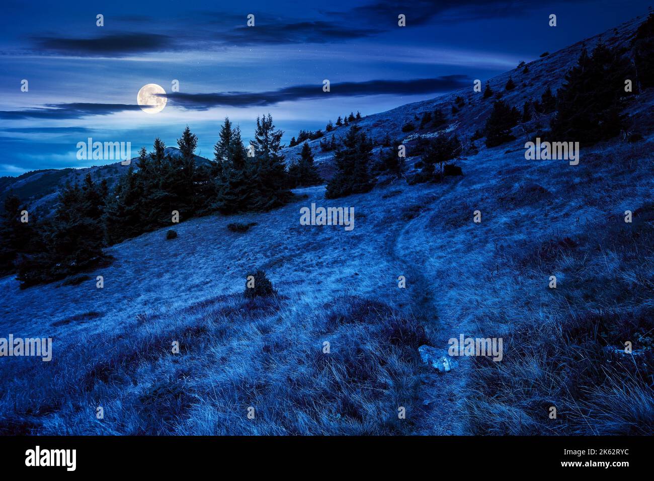 trail through mountain hill at night. landscape with trees on the ...