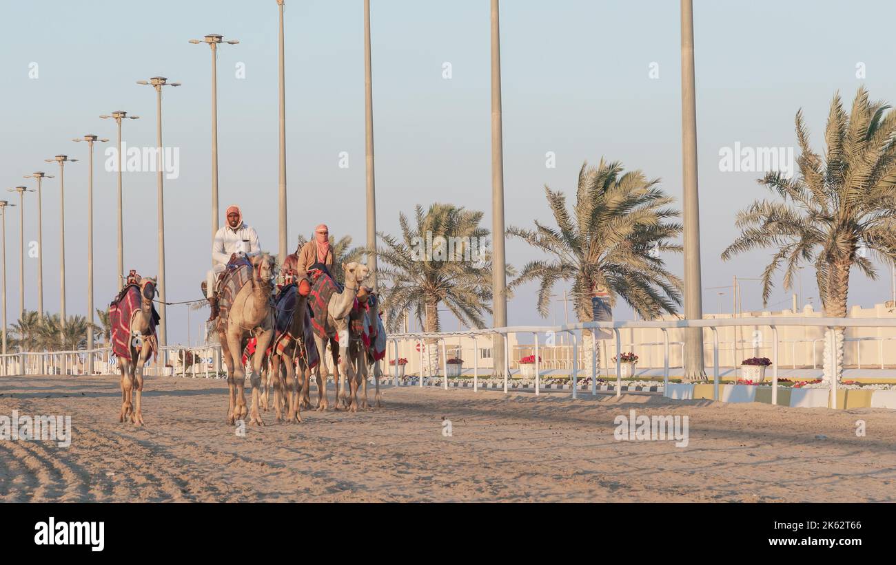 Ash-Shahaniyah, Qatar- March 03 2022 : Jockeys taking the camels for ...