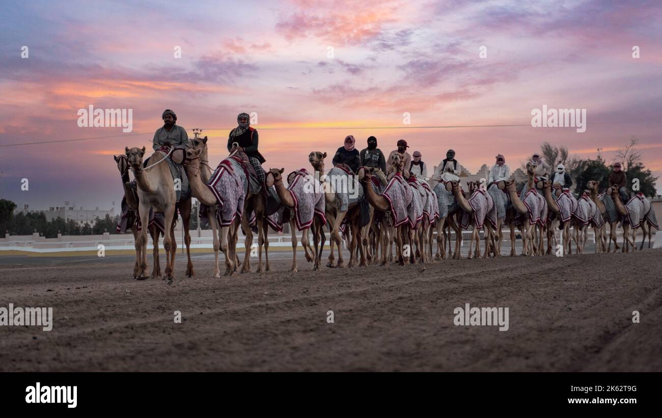 Ash-Shahaniyah, Qatar- March 03 2022 : Jockeys taking the camels for ...