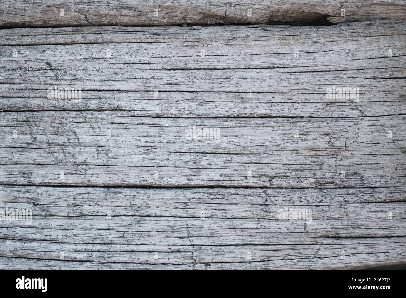 Old wood grey wall texture, textured wooden gray surface background ...