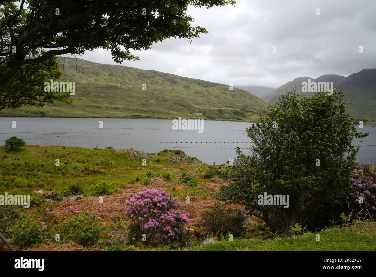 View of the fjord at Killary Harbour, Ireland Stock Photo - Alamy