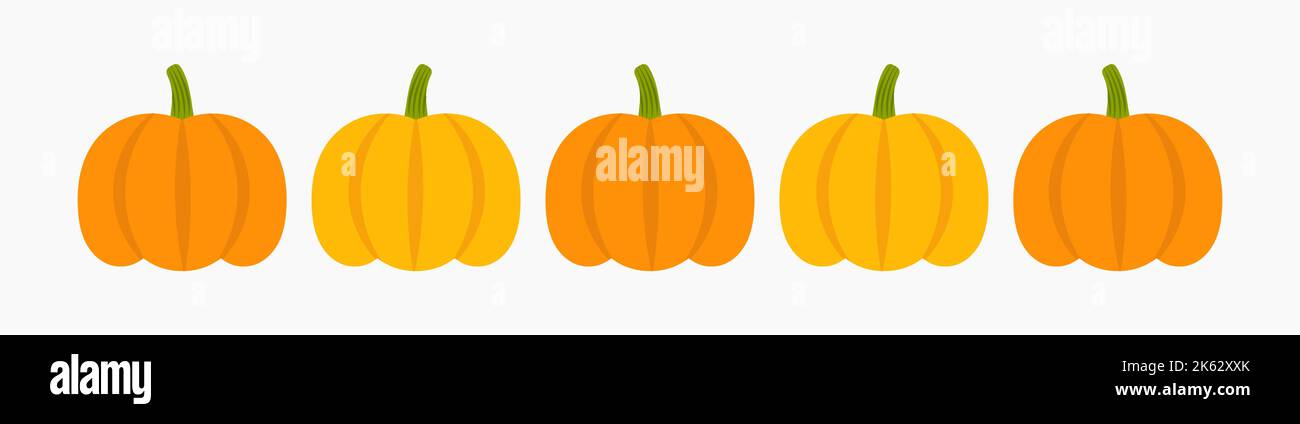 Pumpkins border isolated on white background. Vector illustration Stock ...