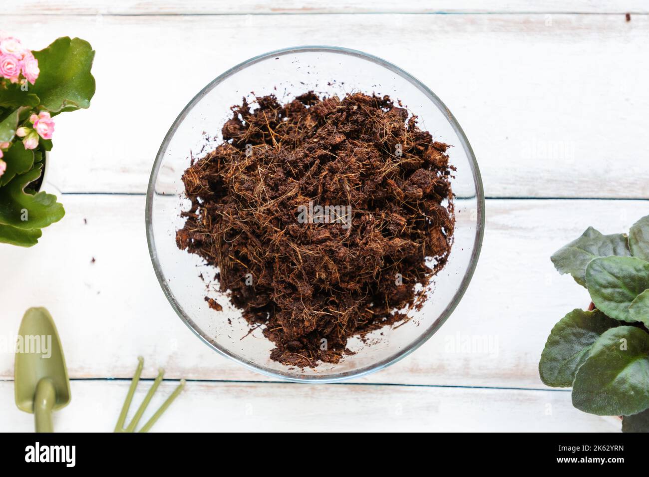 Wet coconut substrate in a glass bowl on a wooden white background ...