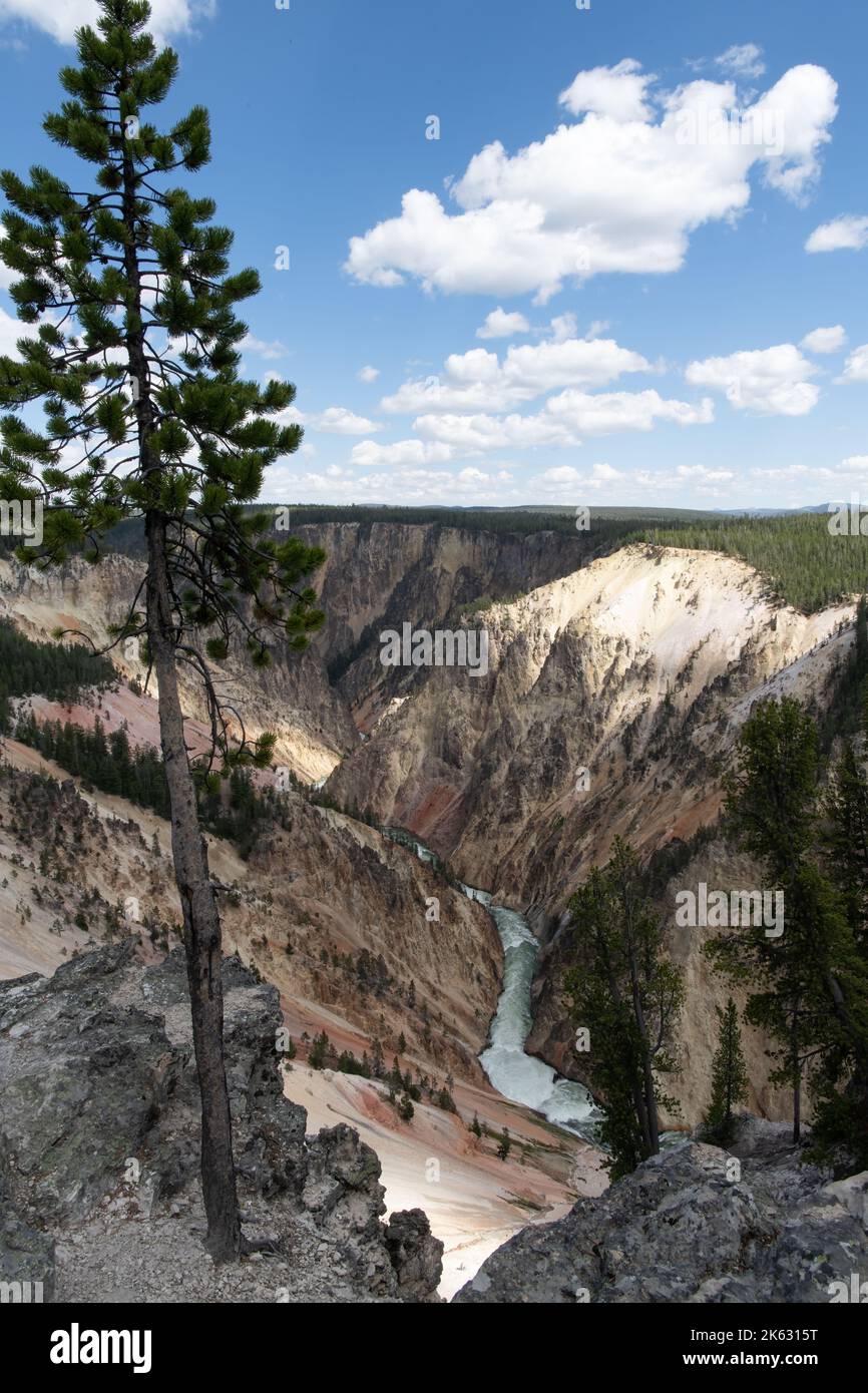 Yellowstone National Park Epic Canyon View Stock Photo - Alamy