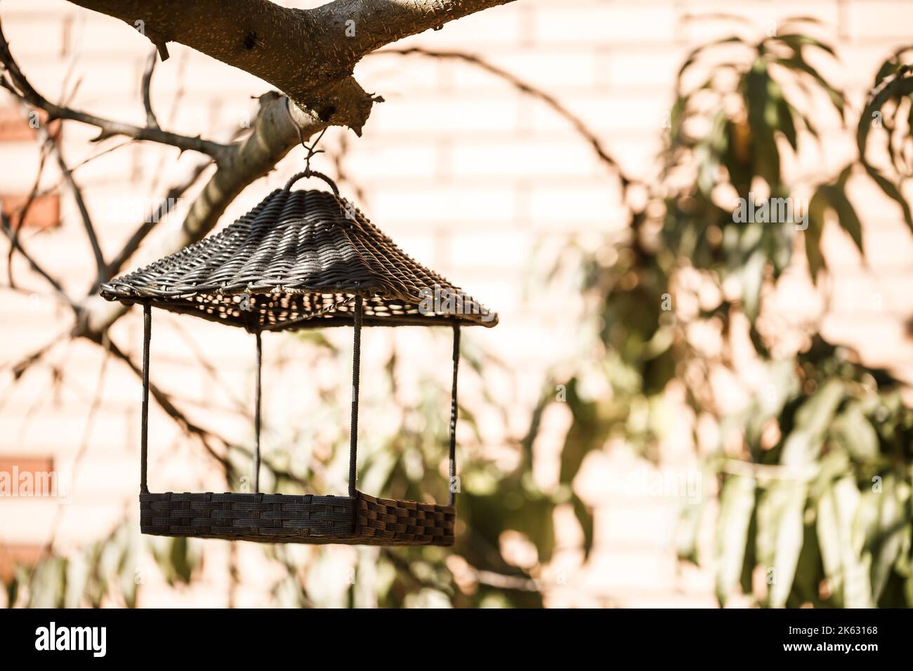 Bird feeder hanging on a tree branch with green leaves Stock Photo - Alamy