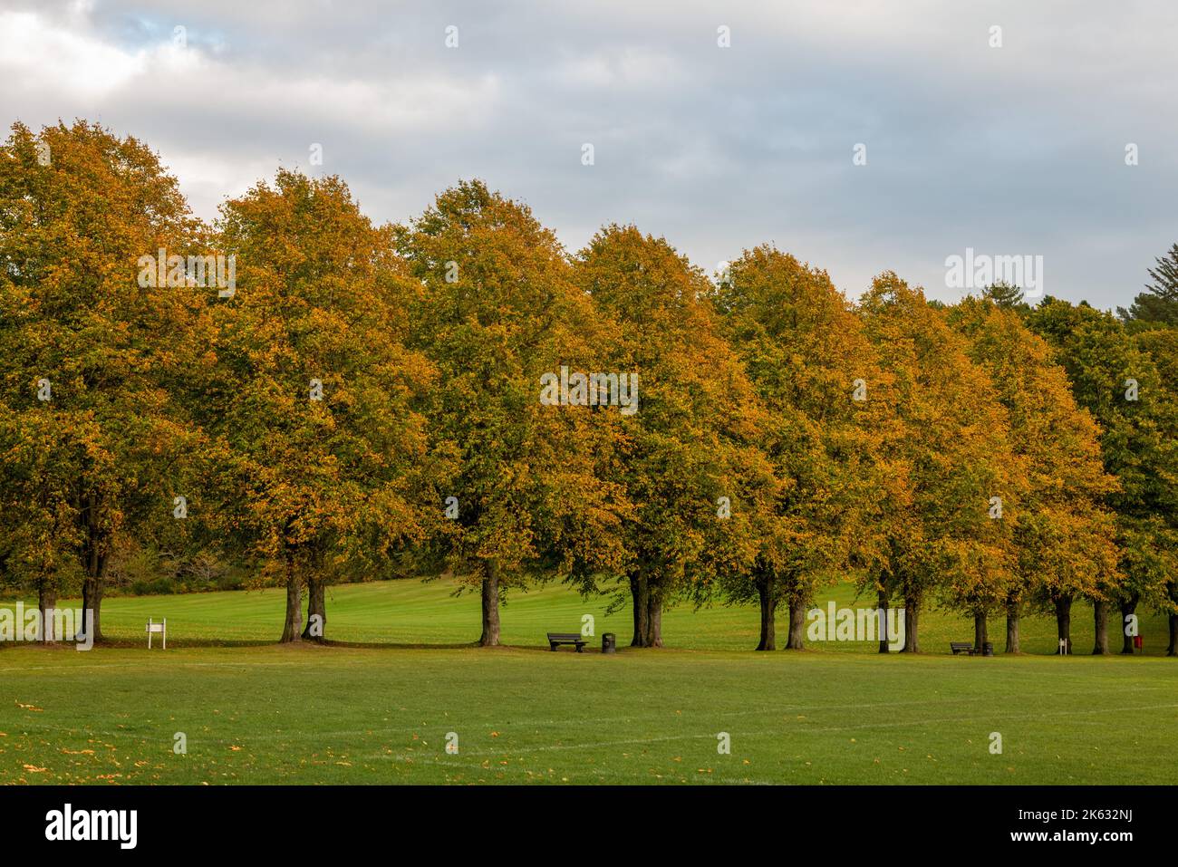 Forres, Moray, UK. 11th Oct, 2022. This is and area of Grant Park in ...