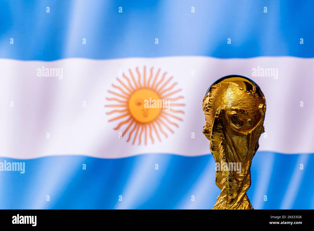Argentina World Cup 2022 Flag