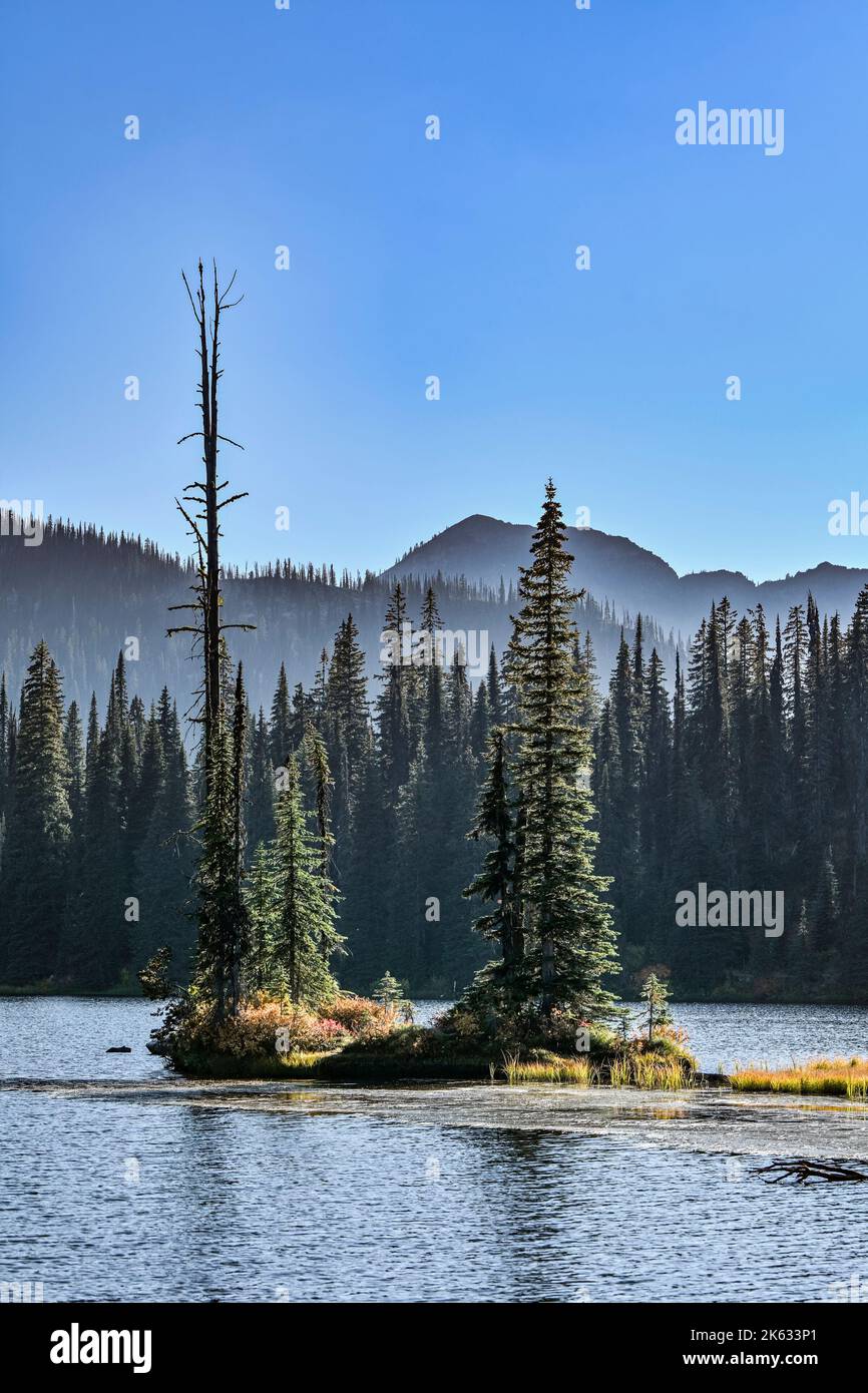 Bridal Lake, Stagleap Provincial Park, British Columbia, Canada Stock ...