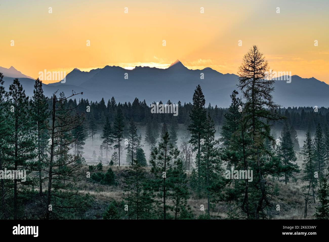 Dawn, near Mount Sneath, Hughes Range, Rocky Mountains, Kootenay Valley ...