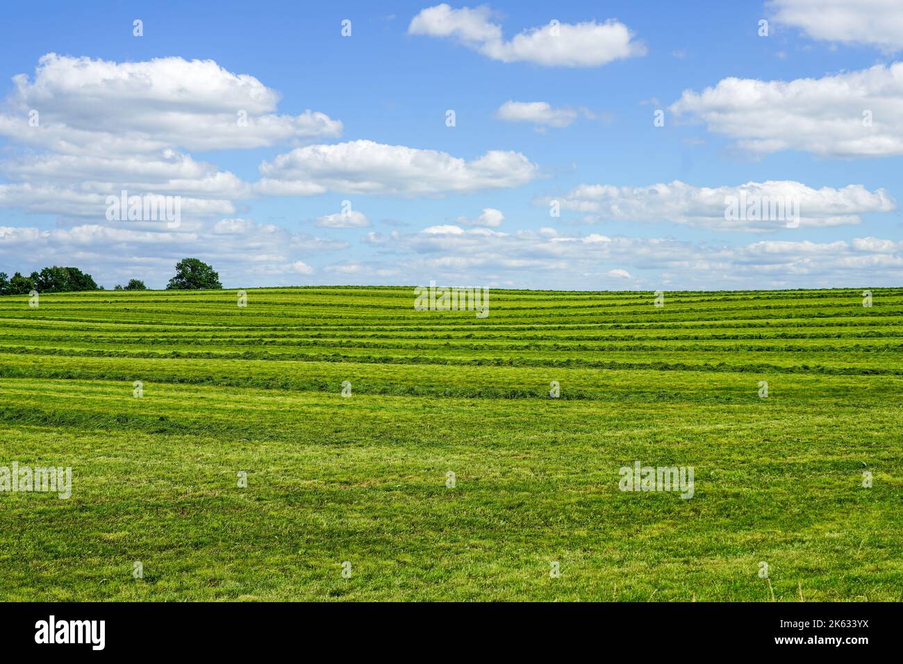 Mowed grassy open field hi-res stock photography and images - Alamy