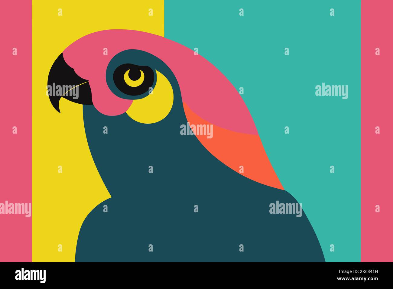 A close up of a colorful parrot Stock Vector Image & Art - Alamy