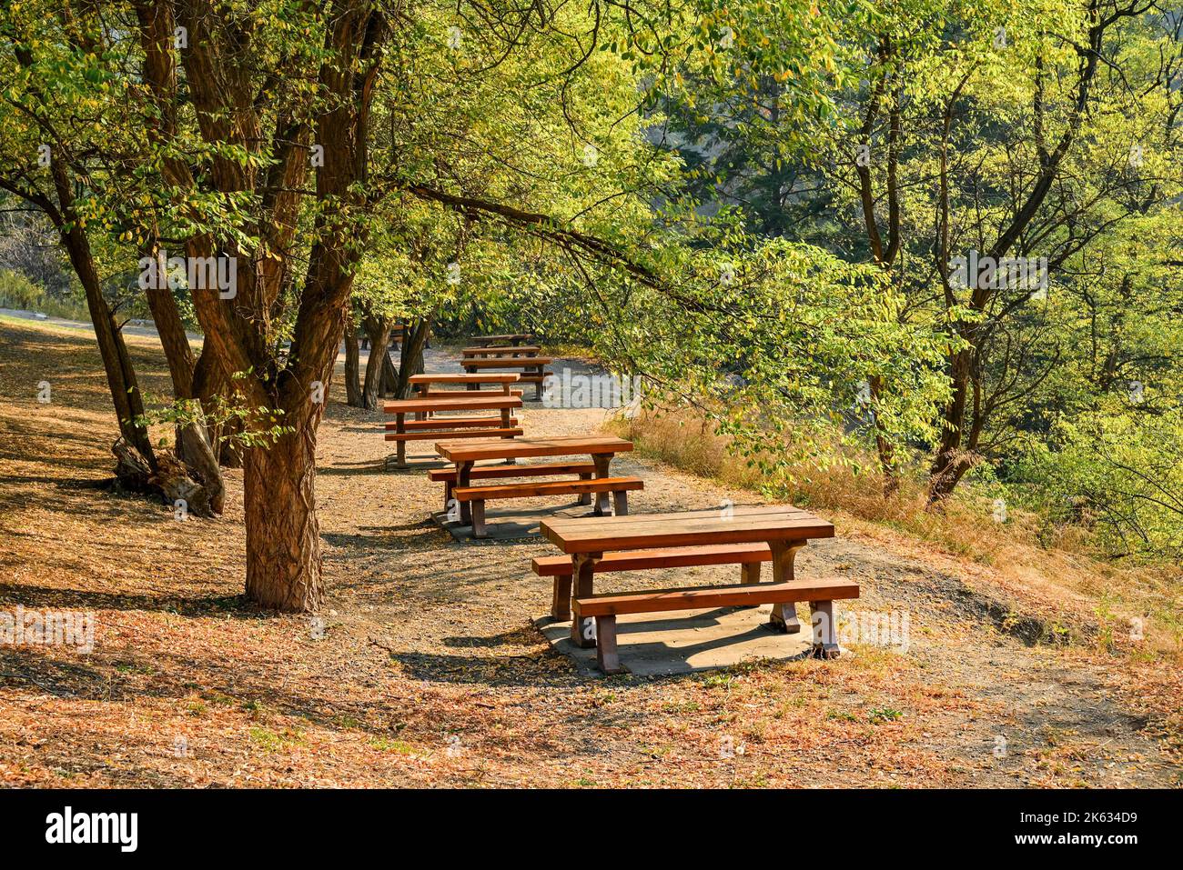 Picnic site, picnic tables, Bromley Rock Provincial Park, Similkameen ...
