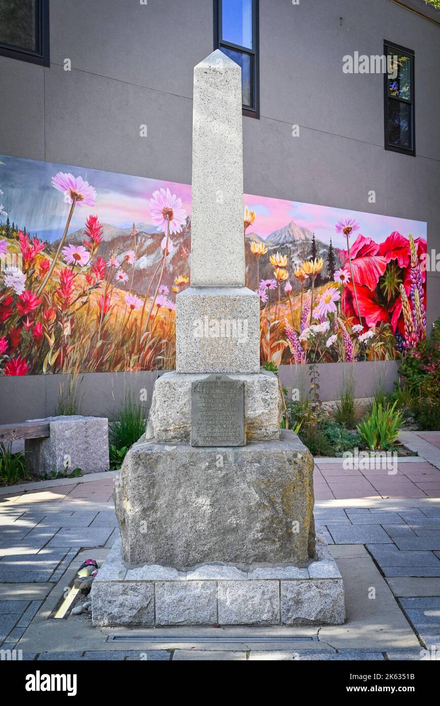 Poppy mural hi-res stock photography and images - Alamy