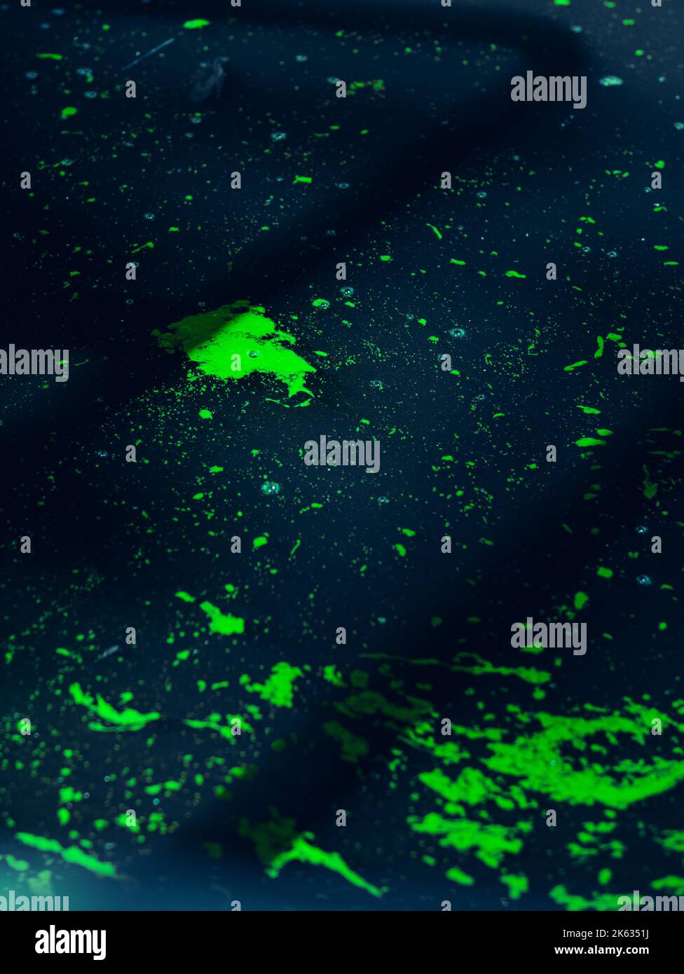 Algae texture hi-res stock photography and images - Alamy