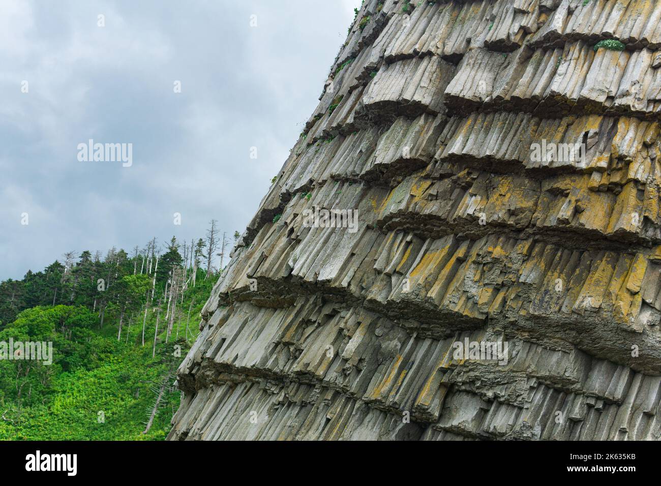 coastal cliff composed of columnar basalt on the island of Kunashir ...