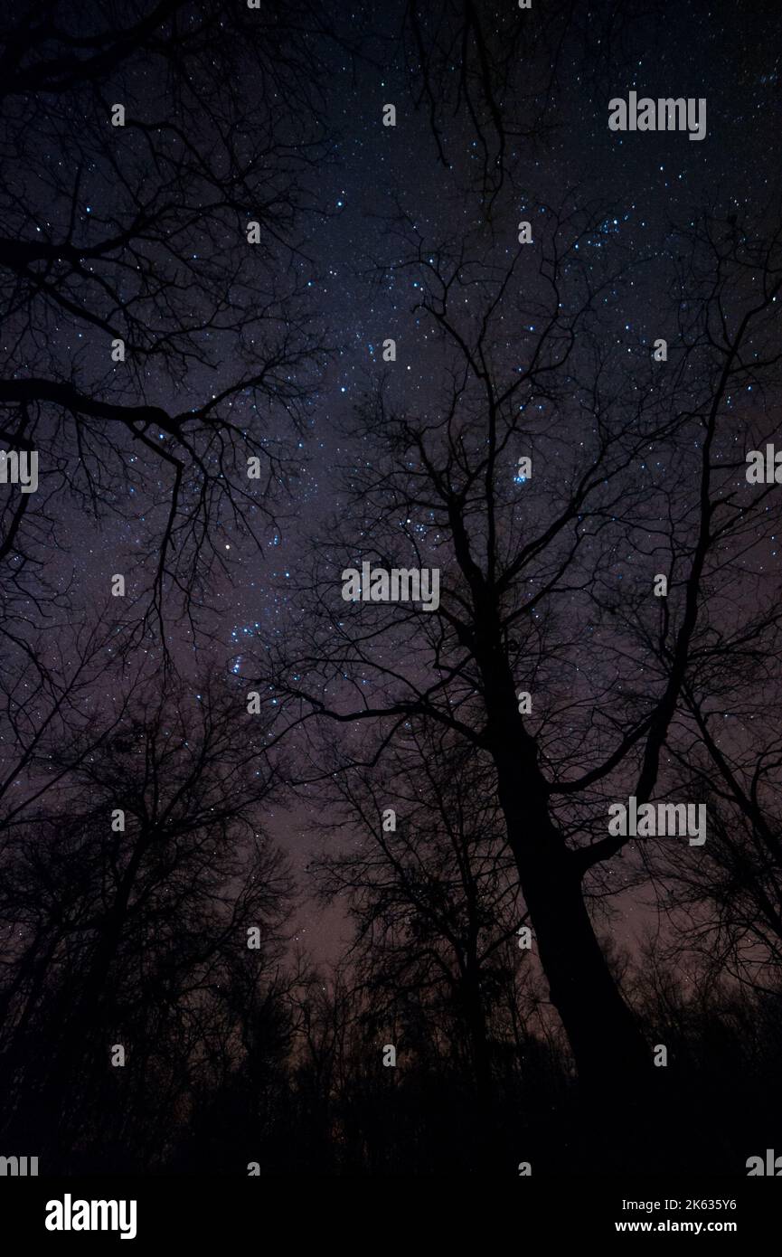 Starry winter sky hi-res stock photography and images - Alamy