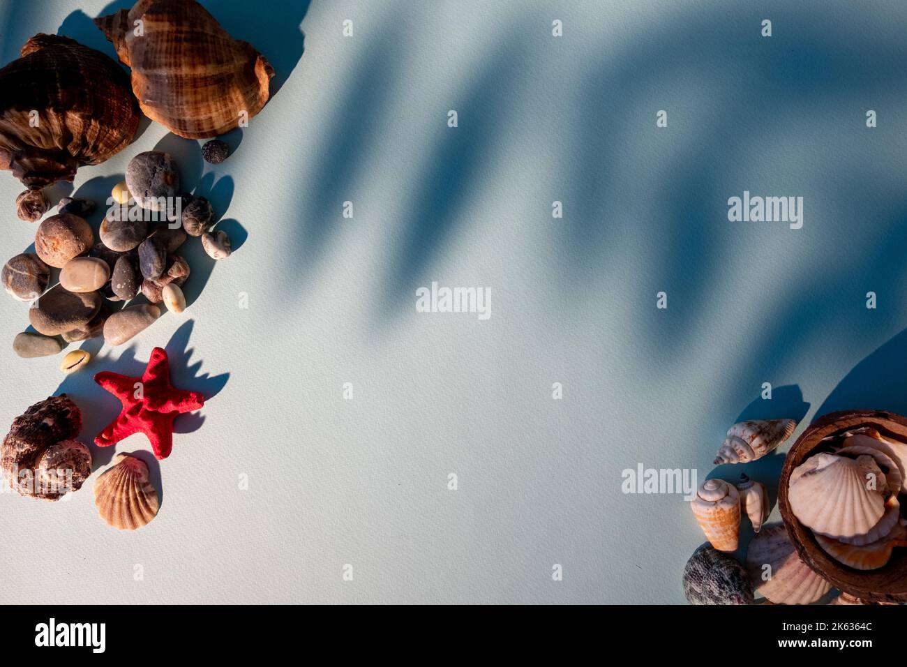 marine background sea nature seashell stone blue Stock Photo - Alamy