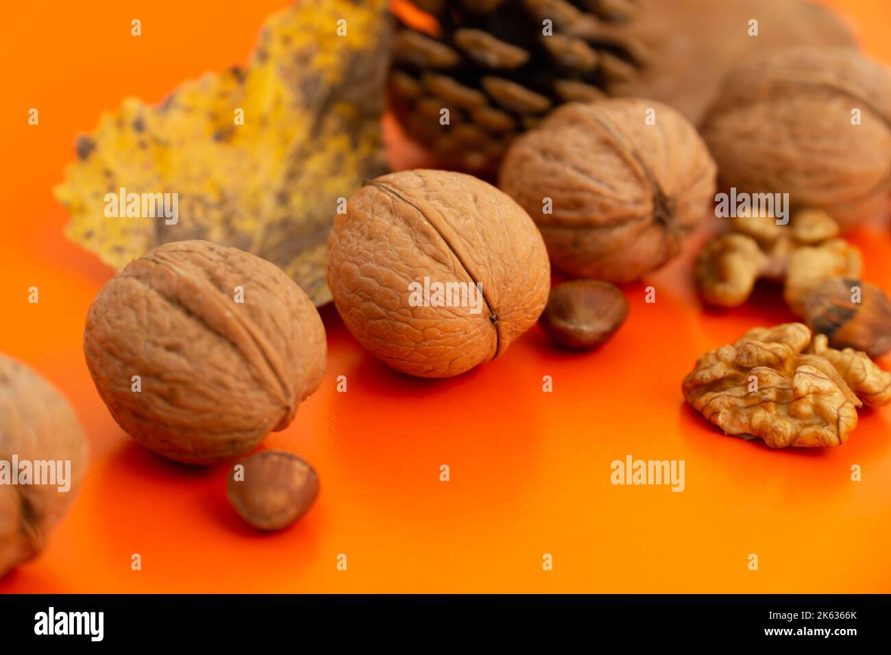 Autumn decoration, walnuts, leaves, acorn, pine cone, orange background ...