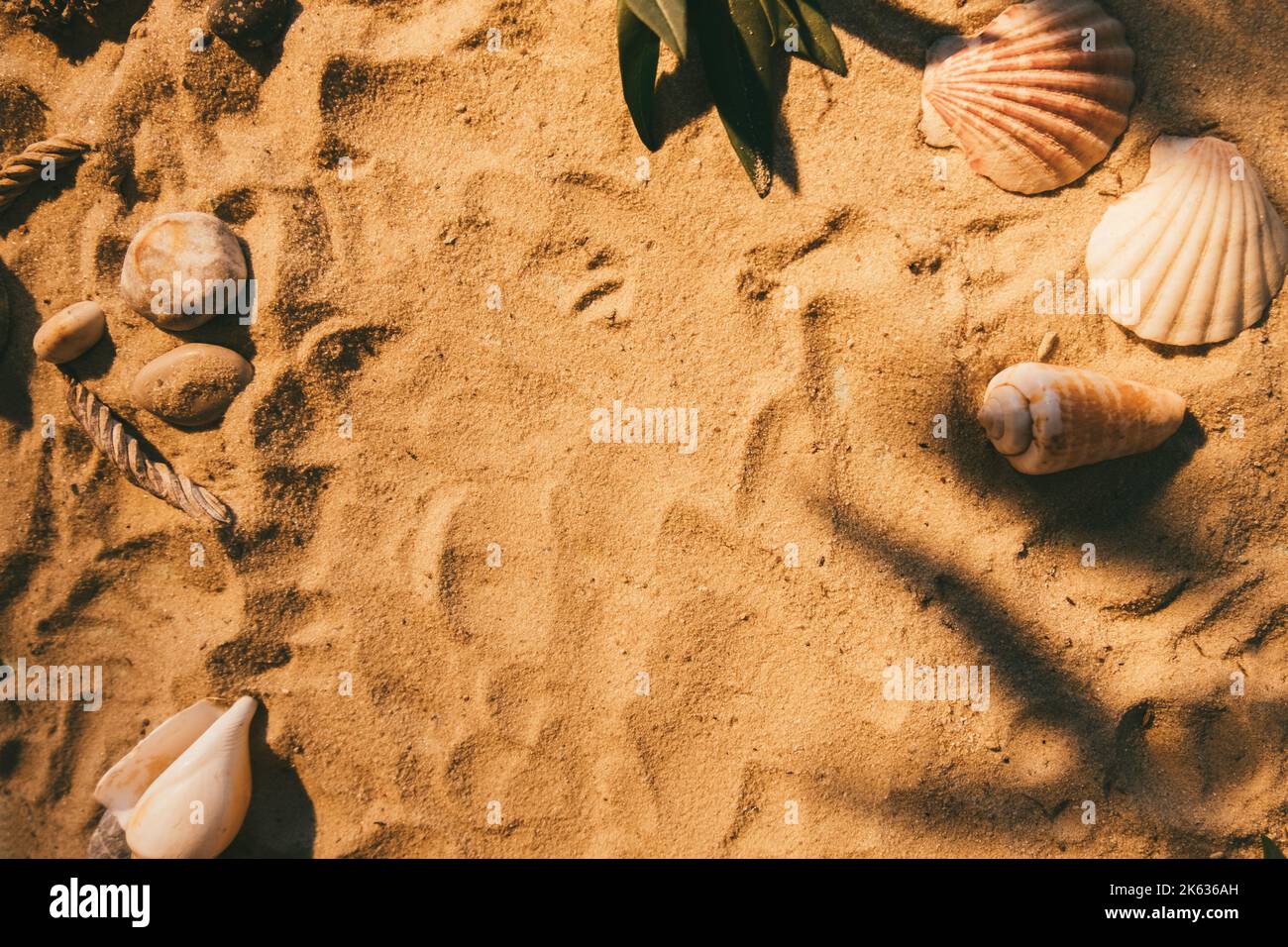 sand background summer island seashell stone beach Stock Photo - Alamy