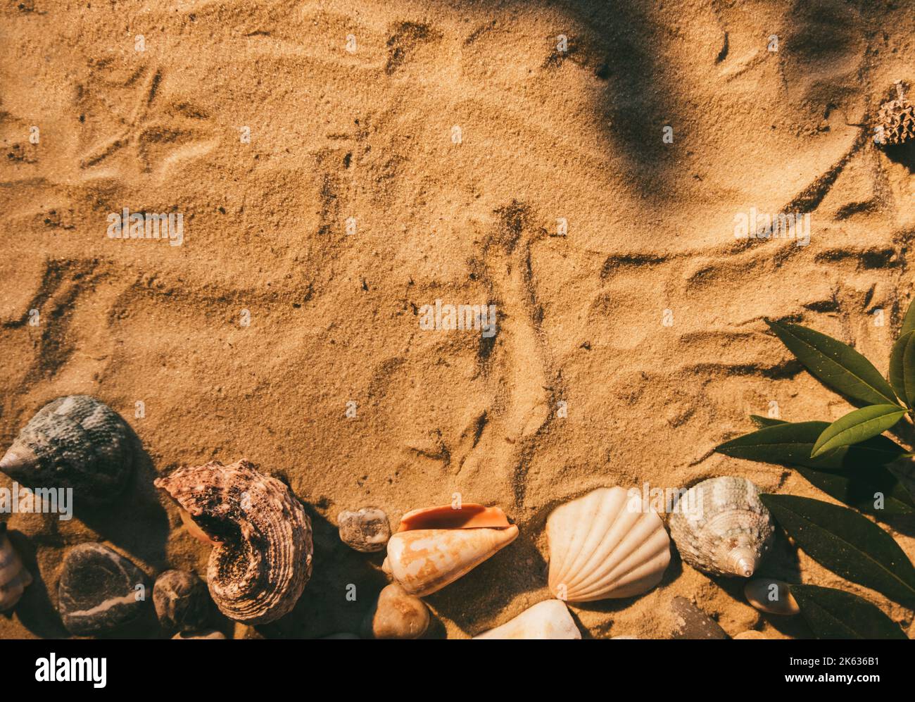summer background exotic weekend seashell sand Stock Photo - Alamy