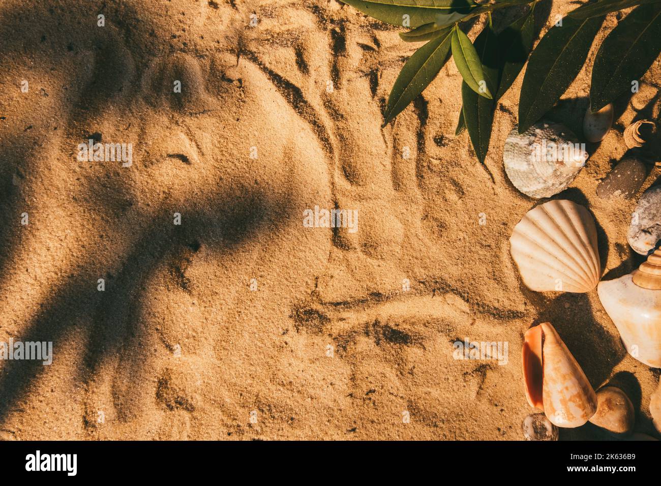 resort background summer holidays seashell sand Stock Photo - Alamy