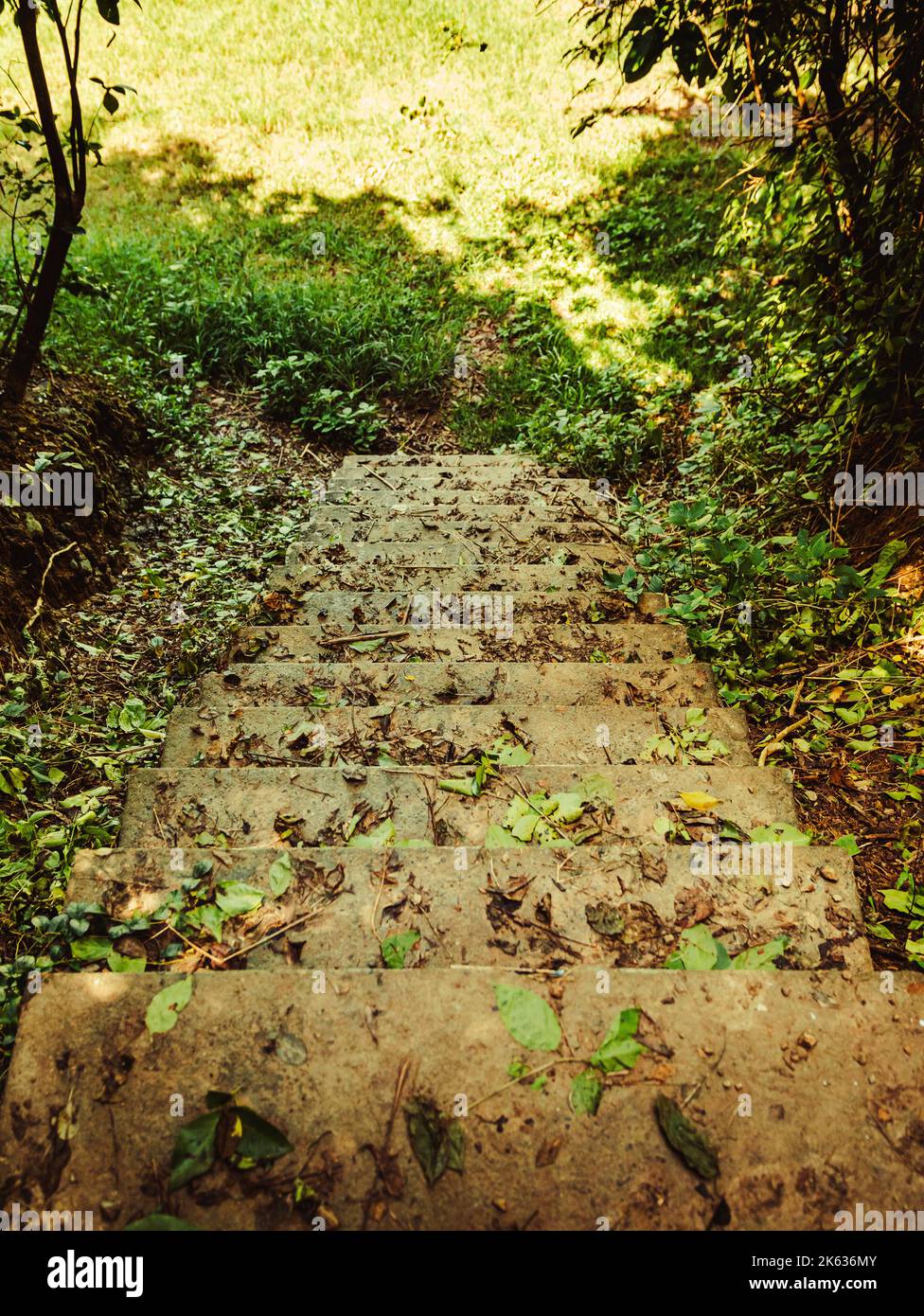 Stairs of stone around nature in the Natural reserve from puerto rico ...