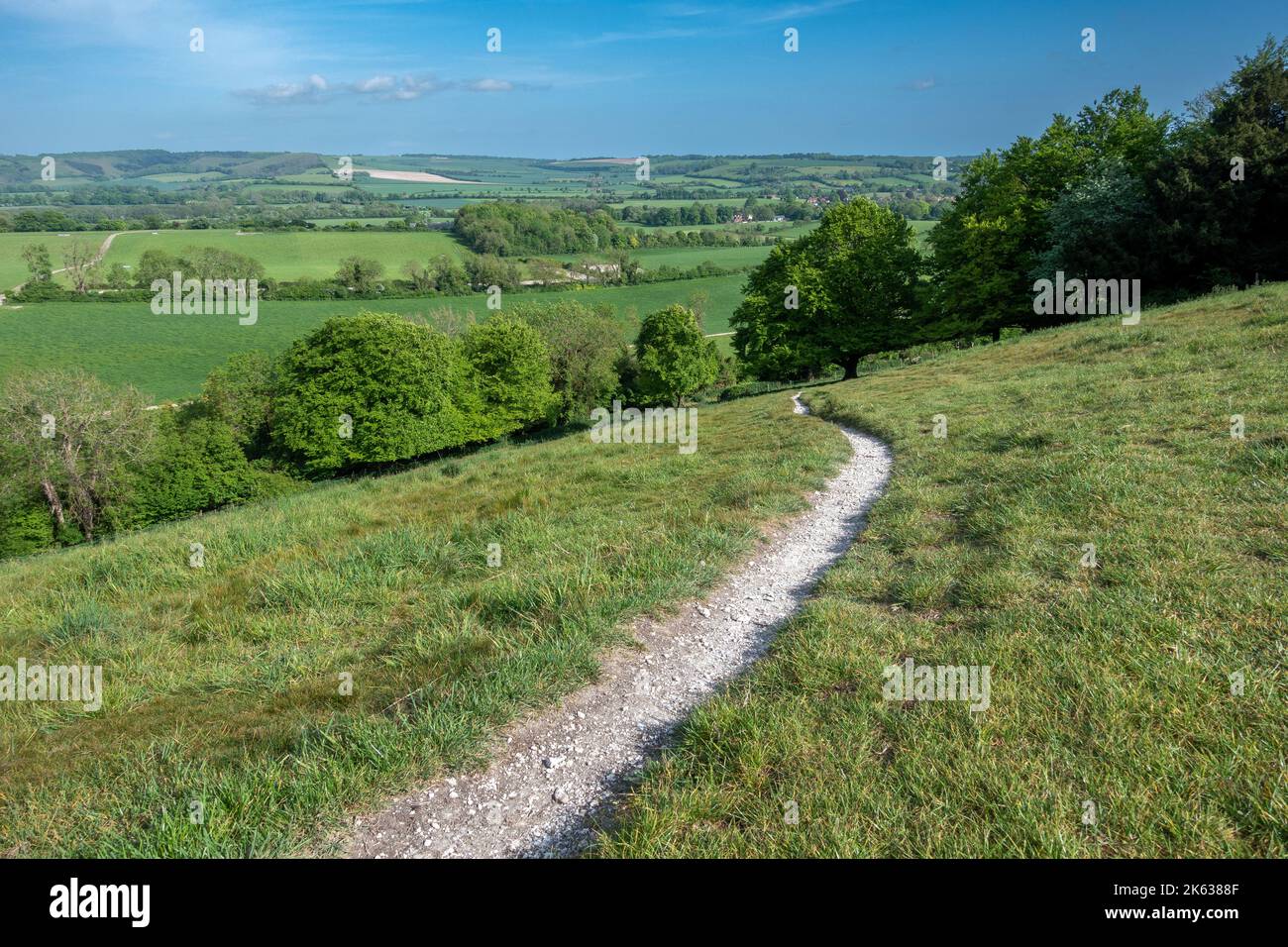 View from Beacon Hill looking towards Exton with views of the South ...