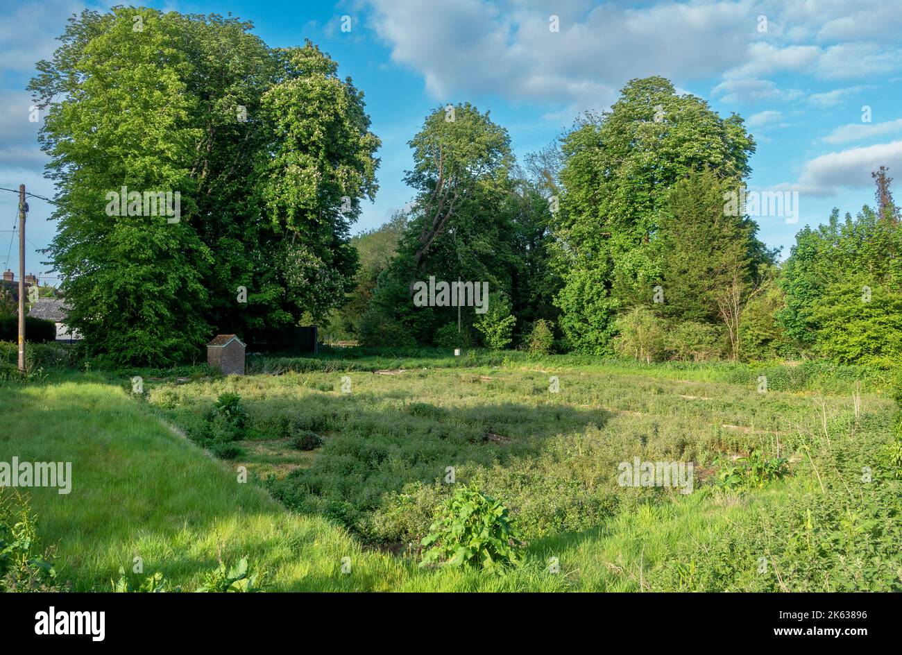 Watercress farm in the picturesque village Warnford which lies in the ...