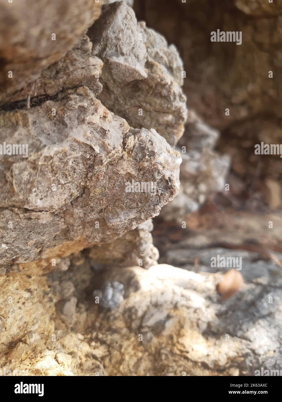 A vertical shot of the rock texture Stock Photo - Alamy