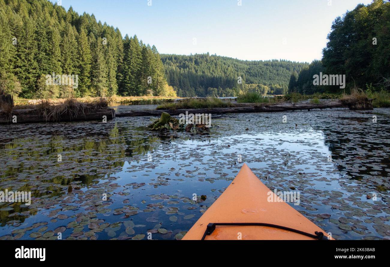 Hult pond hi-res stock photography and images - Alamy