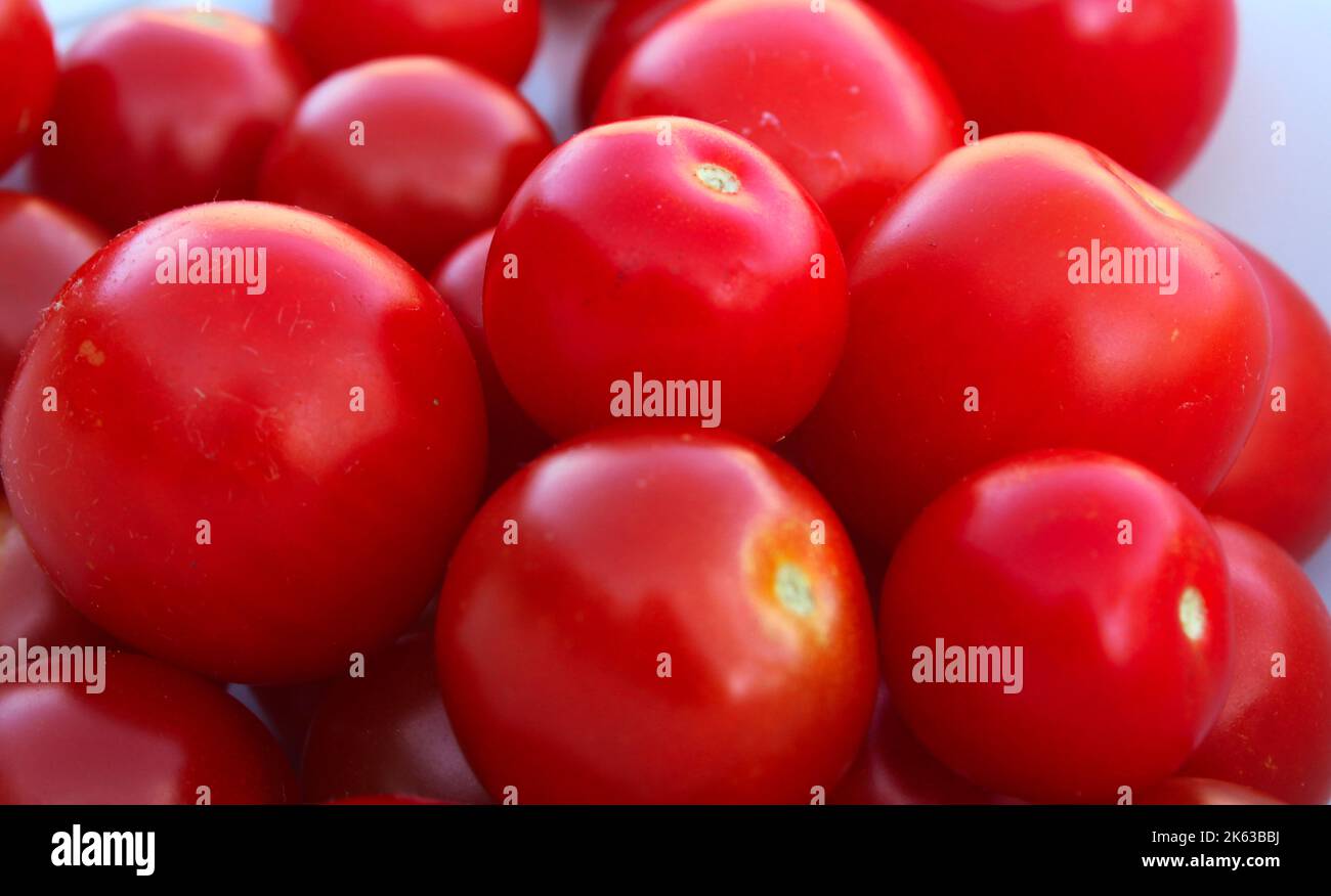Small tomato plants hi-res stock photography and images - Alamy