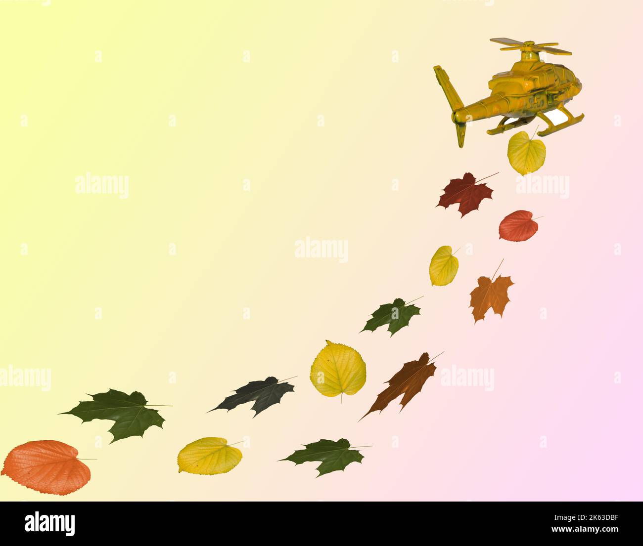 Helicopter leaf falling hi-res stock photography and images - Alamy