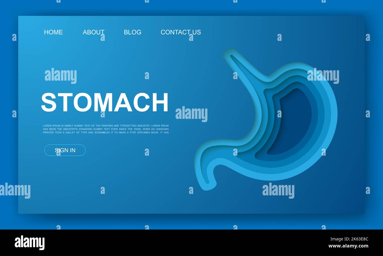 Stomach 3d paper cut website template. Digestive system paper cut out ...