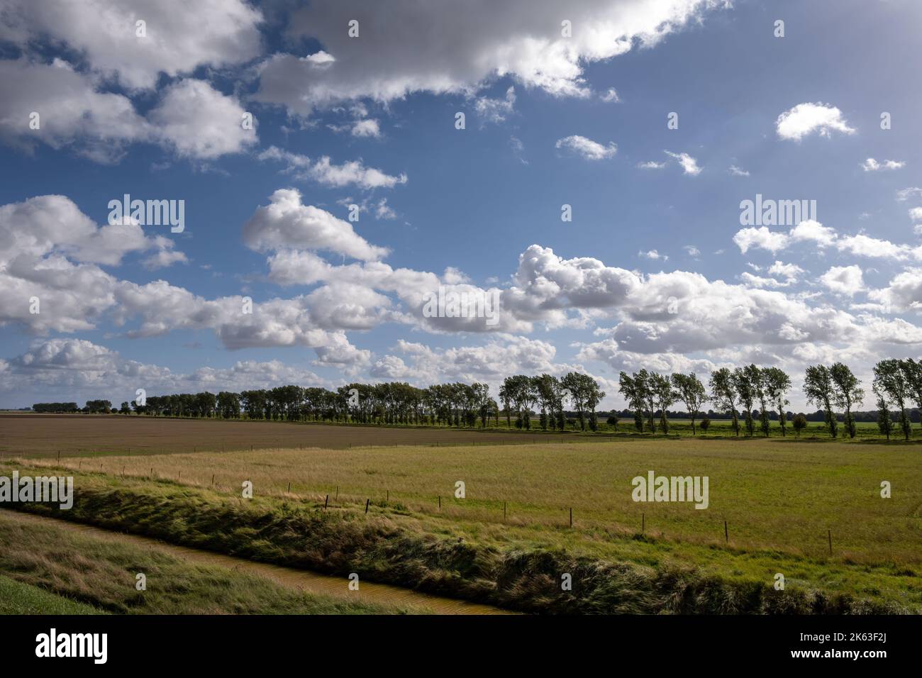 view of the Fens with a channel, a field and some trees, walking on ...