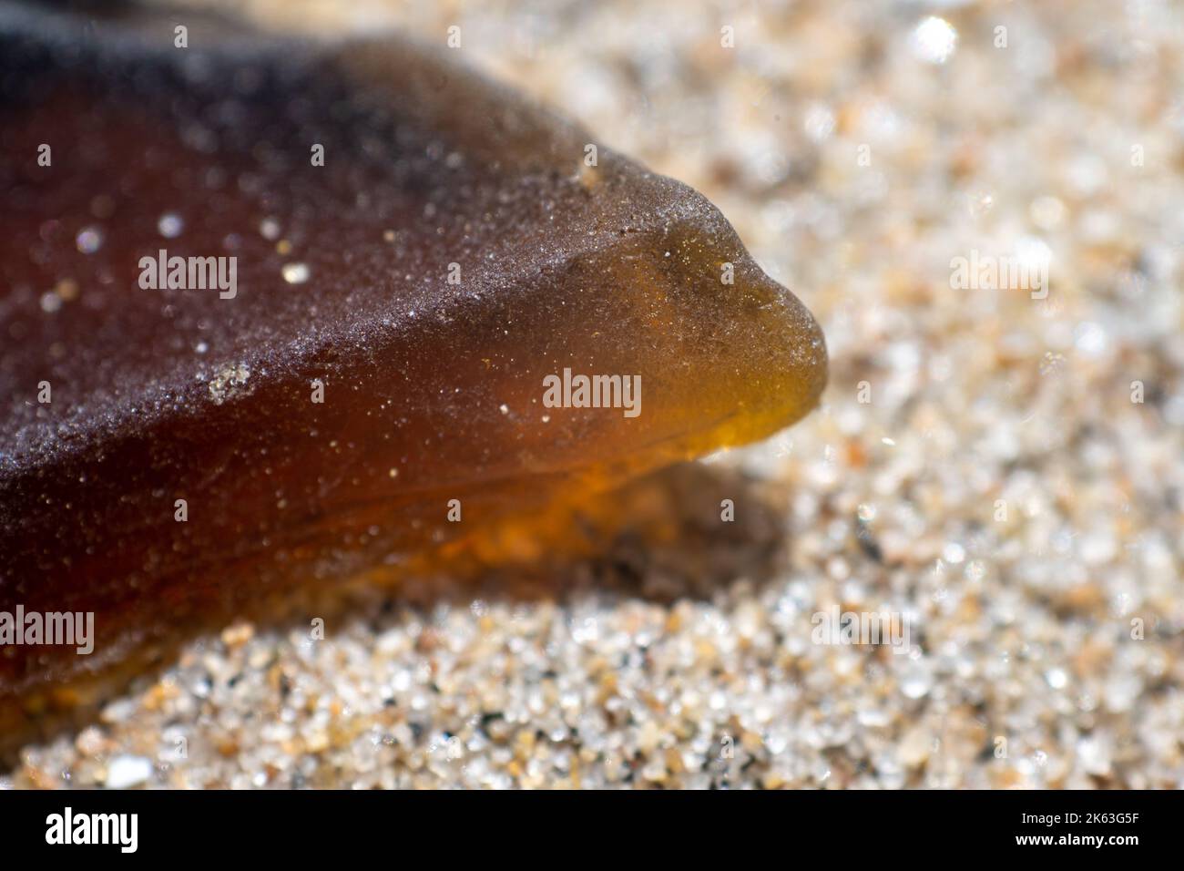 Worn and grounded beer bottle glass shard on sand beach Stock Photo - Alamy
